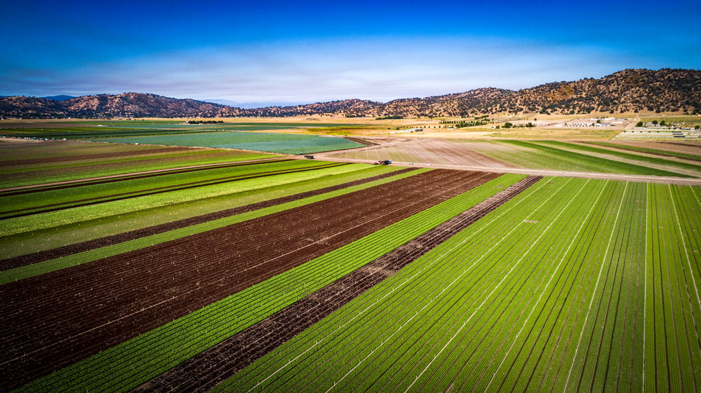 Grimmway Farms Partners with CHEP to Boost Sustainability and Improve ...