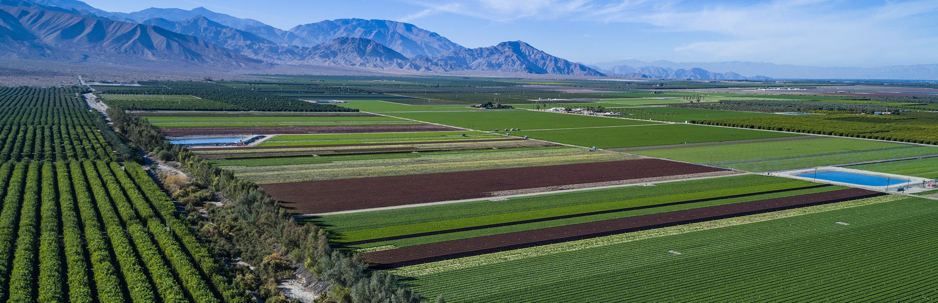 Growing Regions - Grimmway Farms